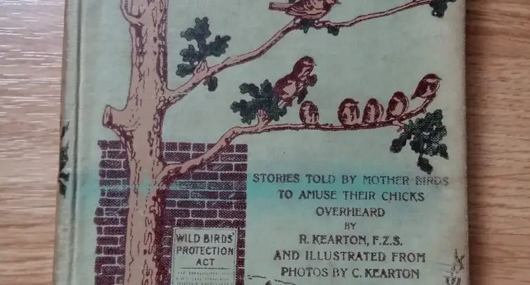 Strange Adventures In Dicky Bird Land Schatzwert